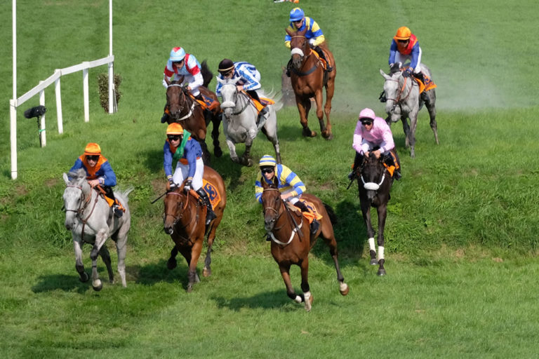 Races Schedule 2025 - Waregem Koerse