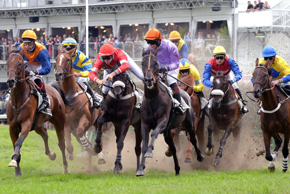 Waregem Koerse / 172ste editie op dinsdag 27 augustus 2019