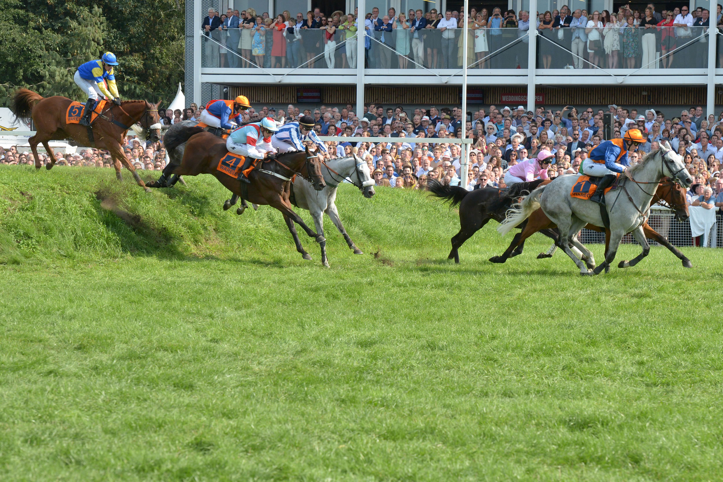 Waregem Koerse / 172ste editie op dinsdag 27 augustus 2019