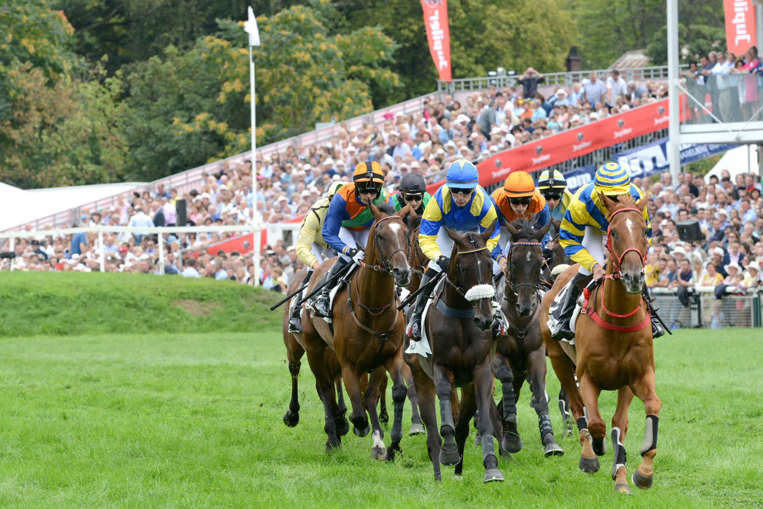 Waregem Koerse / 172ste editie op dinsdag 27 augustus 2019