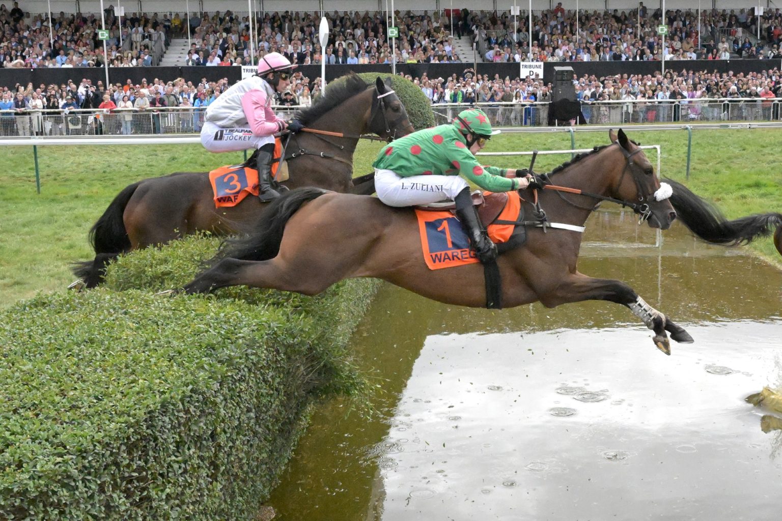 HOOGTEPUNTEN MET EEN SCHADUWZIJDE - Waregem Koerse